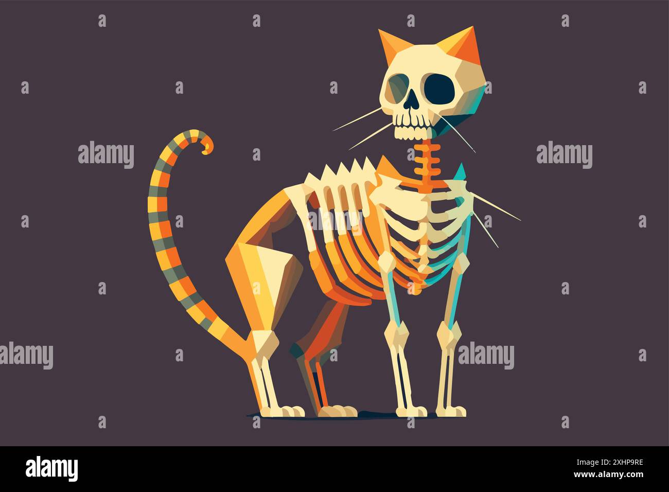 Cat skeleton vector illustration Stock Vector Image & Art - Alamy