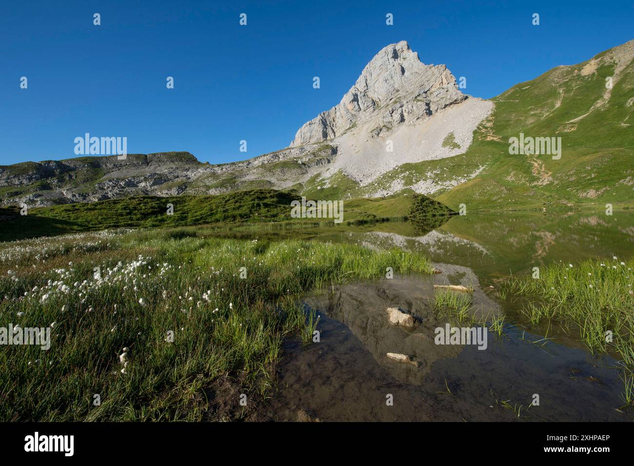 France, Haute Savoie, Aravis Bargy massif, hike to the Pointe Blanche ...