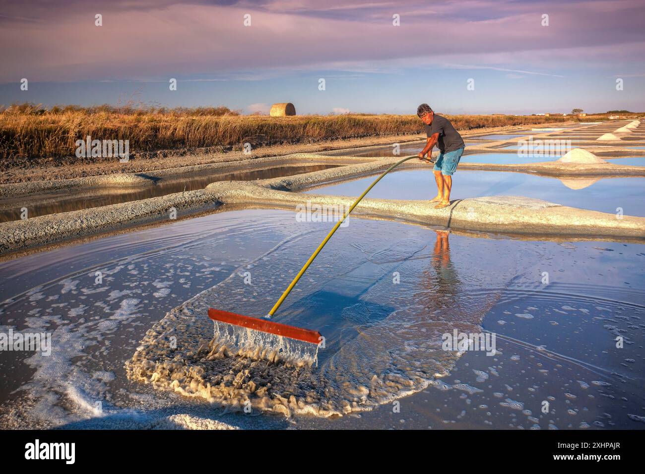 France, Vendee, Noirmoutier island, L'Epine, Pere Nicolas salt marsh ...