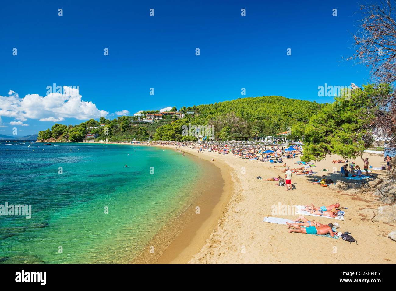 Greece, Sporades archipelago, Skiathos island, Troulos beach Stock ...