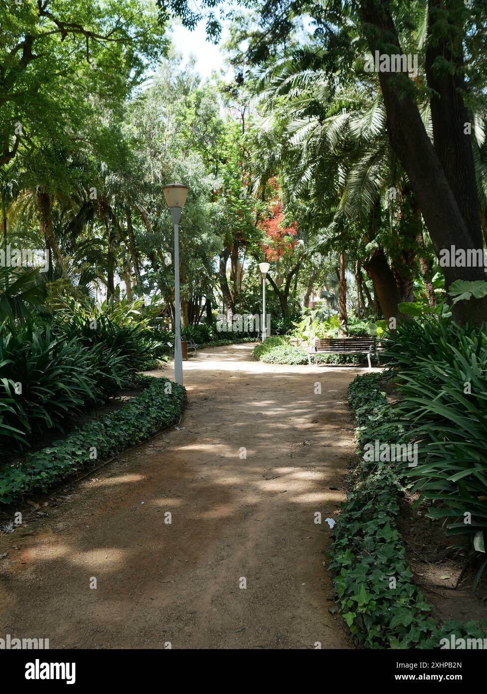 Malaga parque de malaga hi-res stock photography and images - Alamy