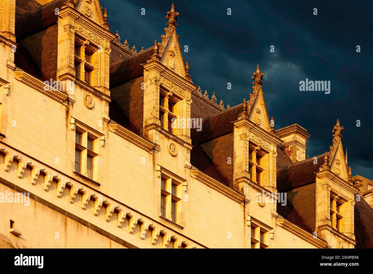 France, Pyrenees Atlantiques, Bearn, Pau, Chateau de Pau, dog sitting ...