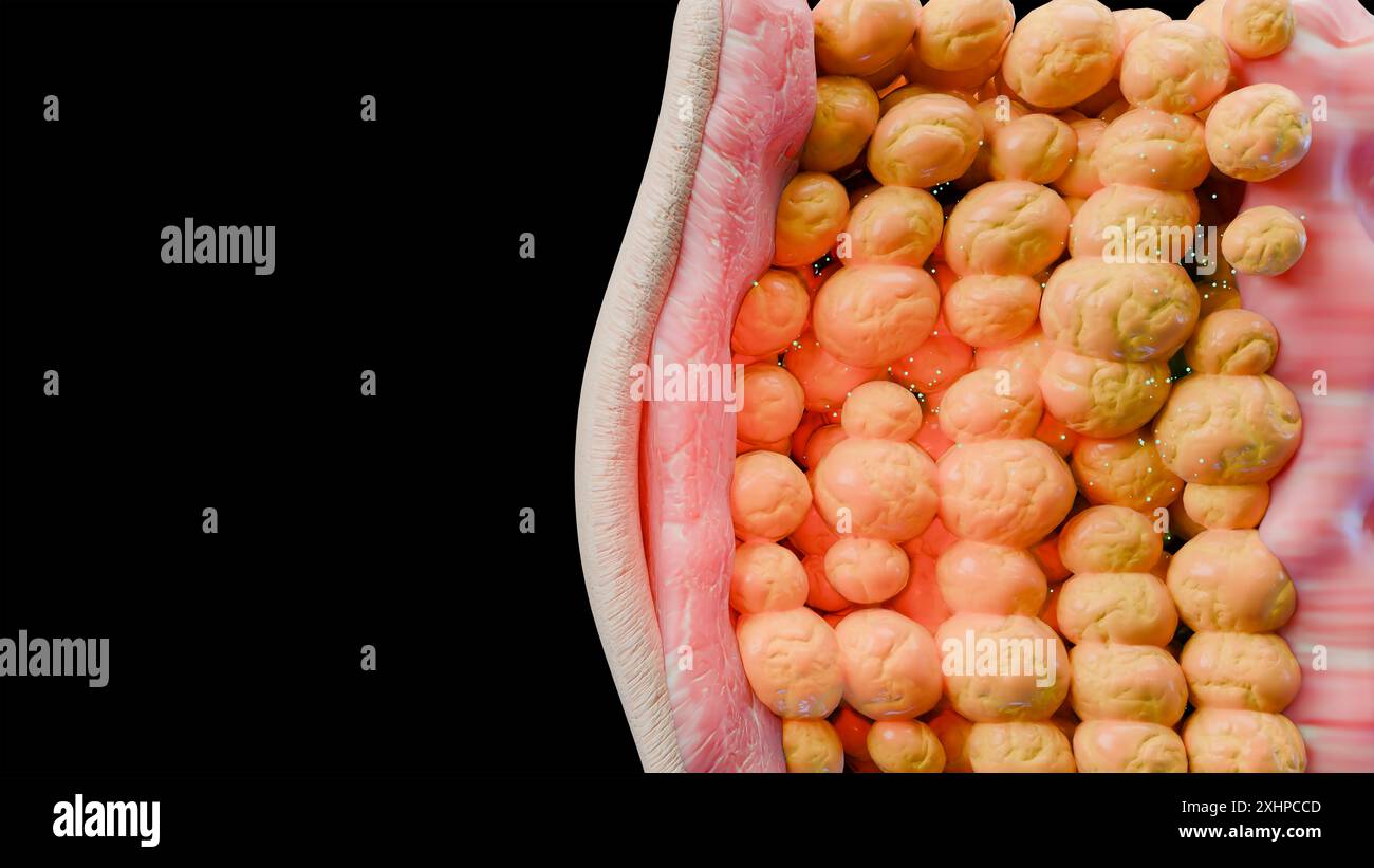 Weight loss Comparison. man body transformation. Before and after a ...