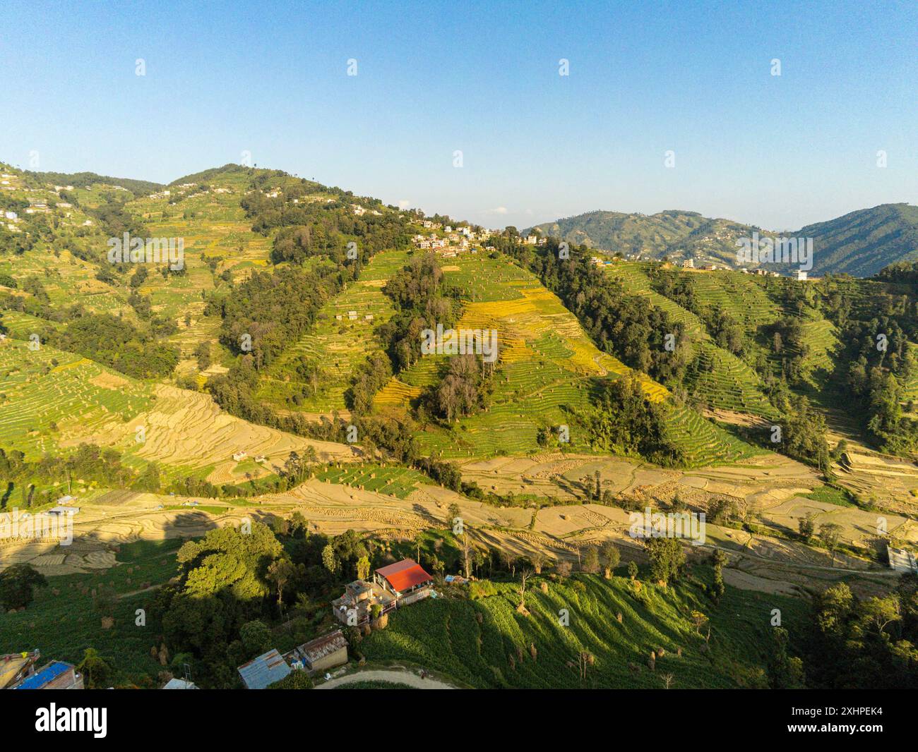 Nepal, Nagarkot region, surroundings of Tukucha Nala, rice terraces ...