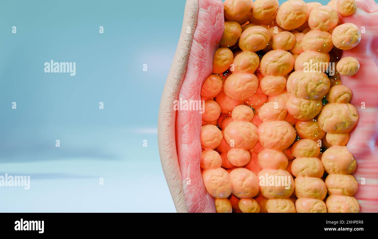 Weight loss Comparison. man body transformation. Before and after a ...