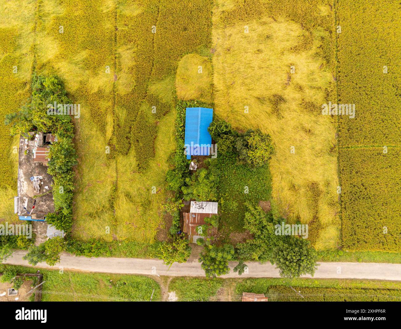 Chitwan nepal aerial hi-res stock photography and images - Alamy