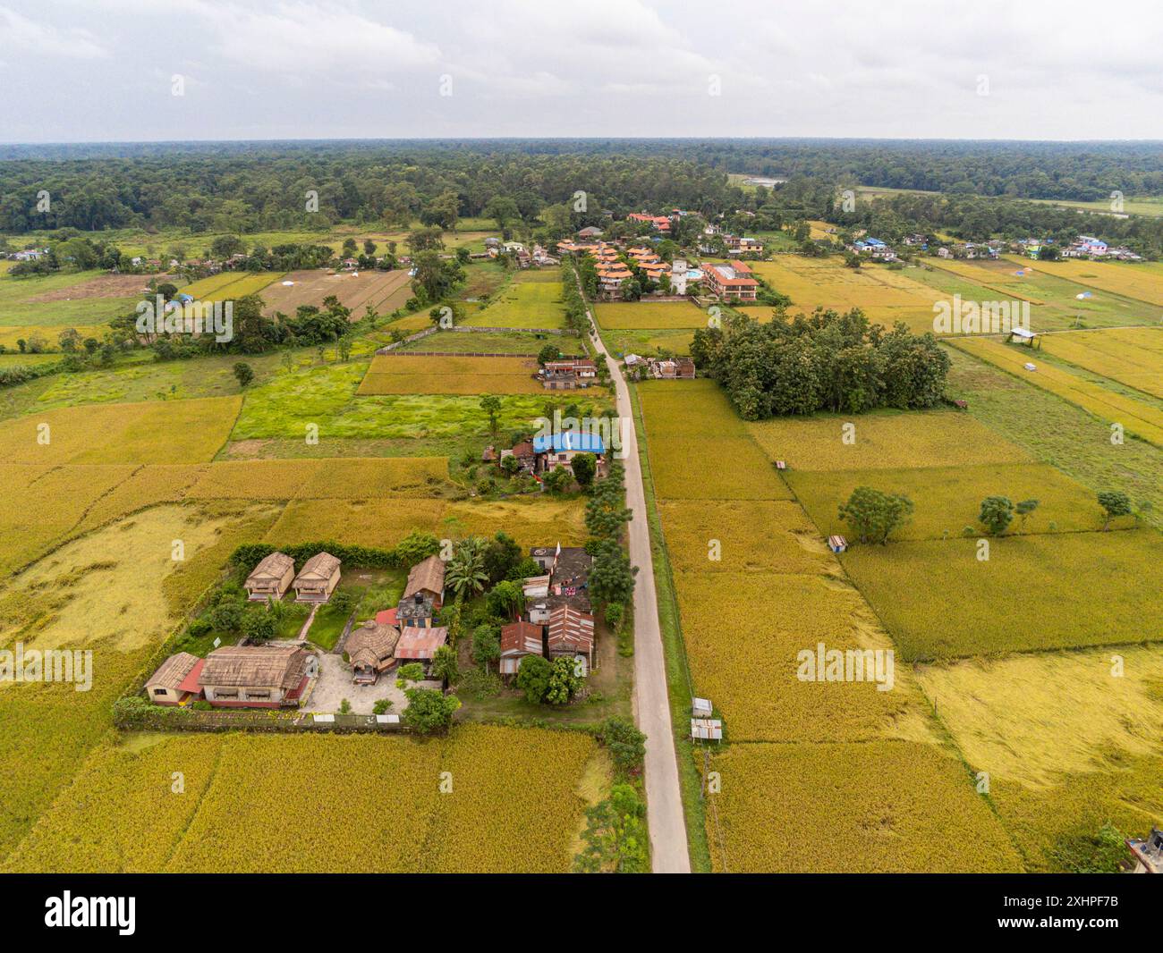 Nepal, Chitwan region, Ratnanagar, rice terraces (aerial view Stock ...