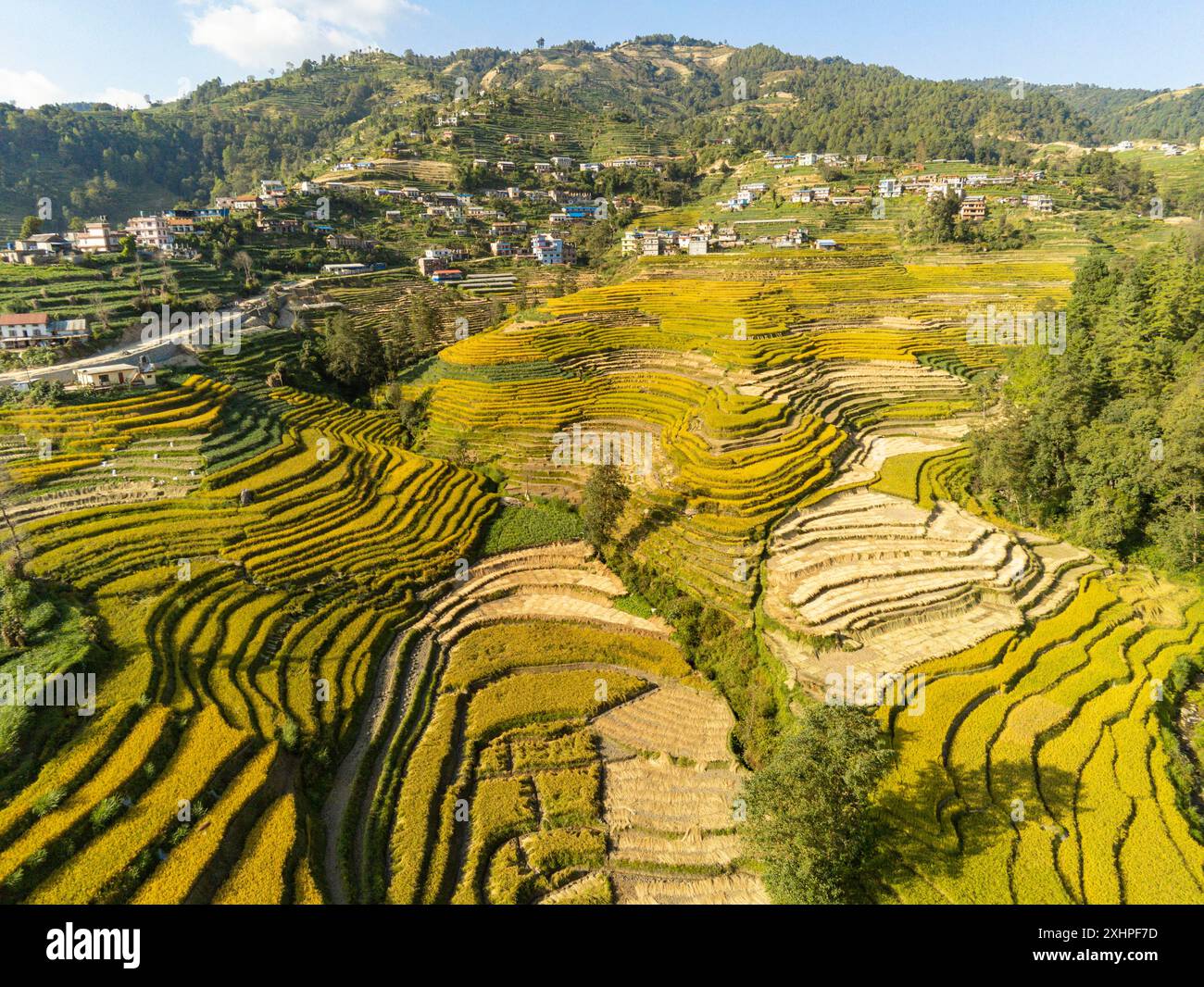 Nepal, Nagarkot region, surroundings of Tukucha Nala, rice terraces ...