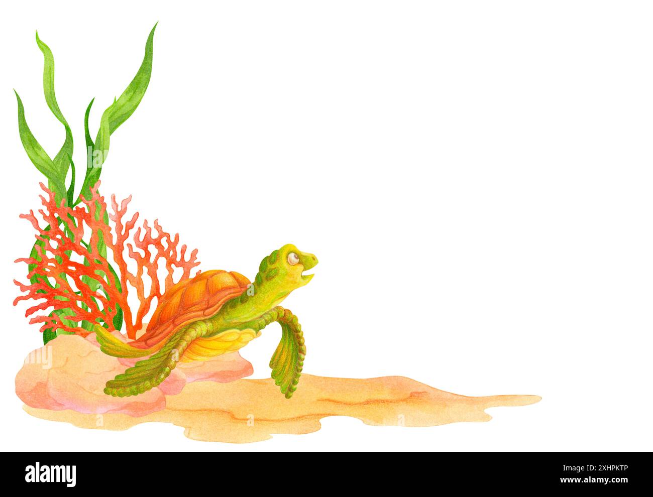 Coral reef illustration hi-res stock photography and images - Alamy