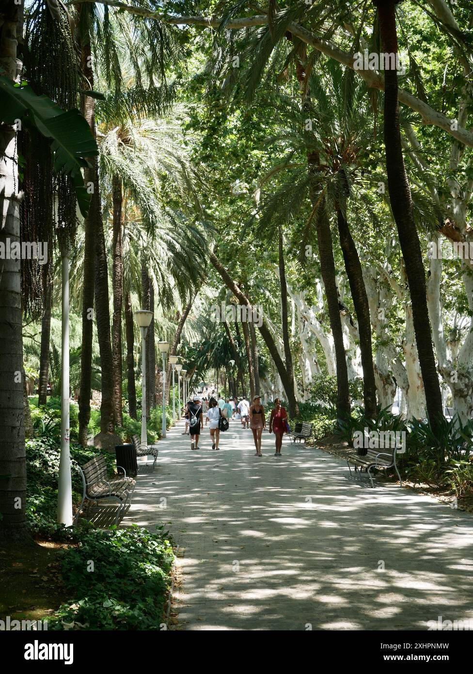 Alameda Malaga Park is a public botanical gardens, with a collection of ...