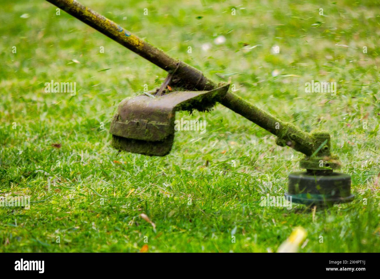 lawn care with brush cutter. closeup of spinning trimmer head with ...