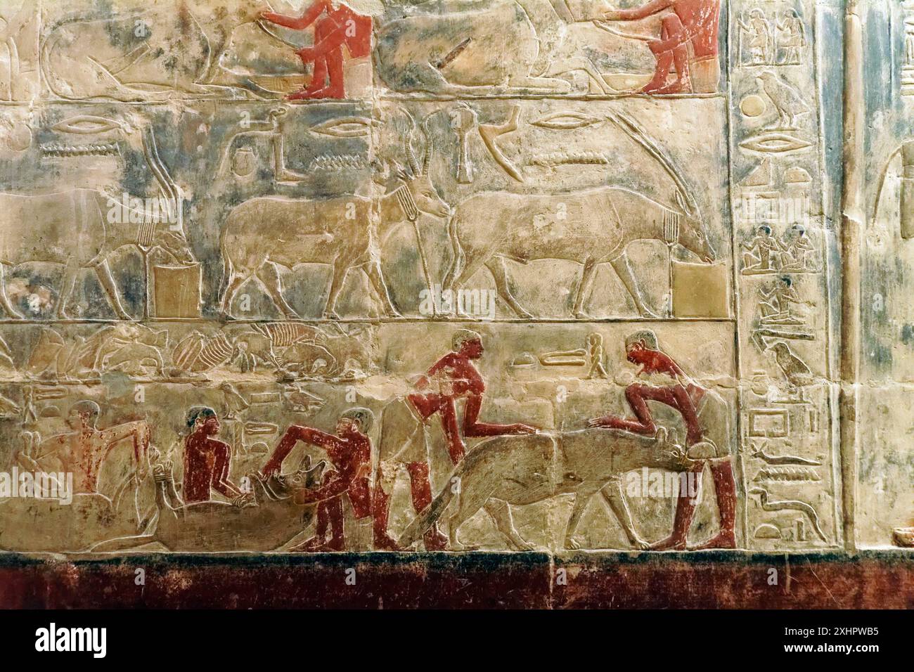 Egypt, Lower Egypt, Saqqara, Saqqara funerary complex, listed as World ...