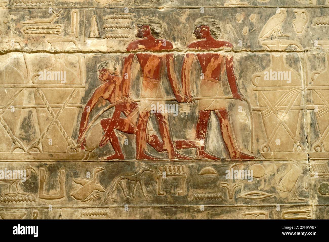 Egypt, Lower Egypt, Saqqara, Saqqara funerary complex, listed as World ...