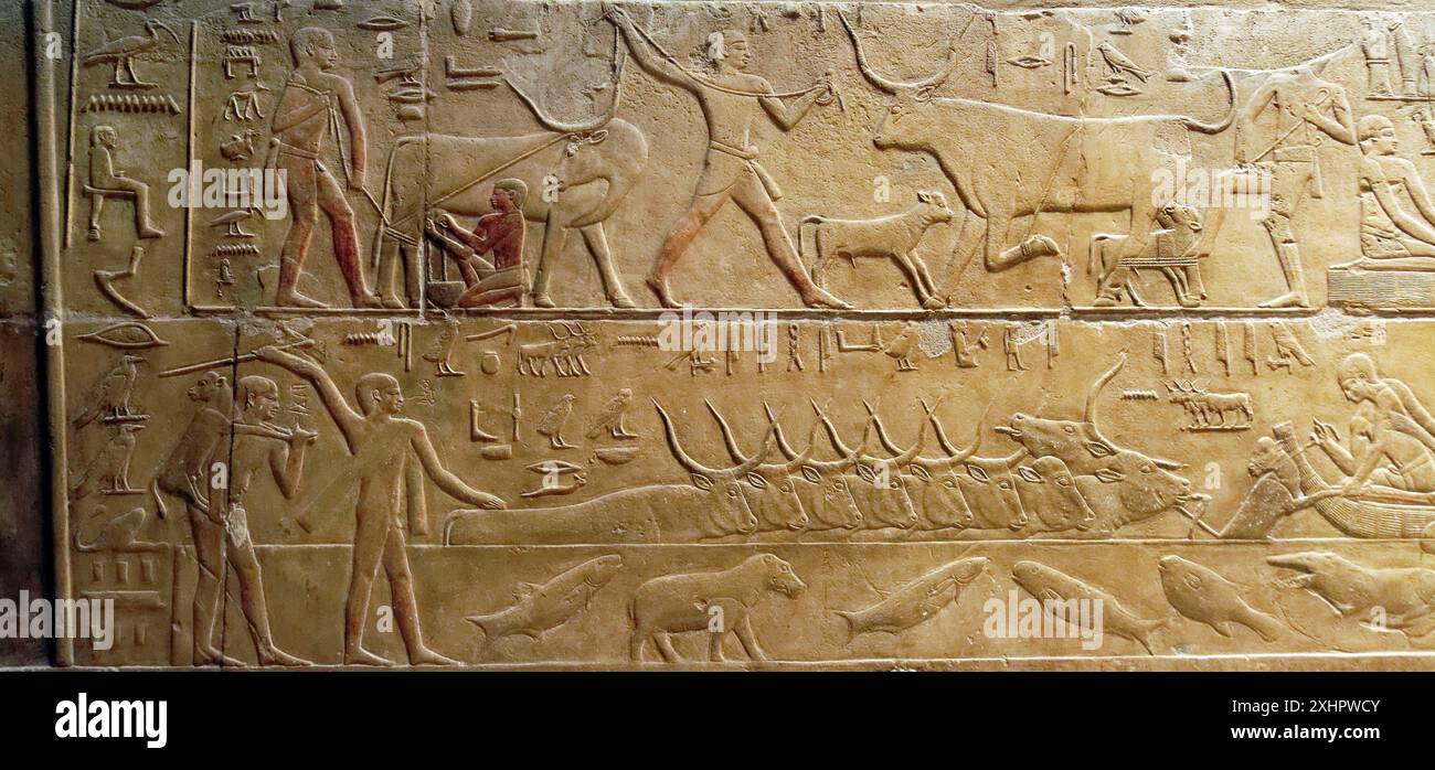 Egypt, Lower Egypt, Saqqara, Saqqara funerary complex, listed as World ...