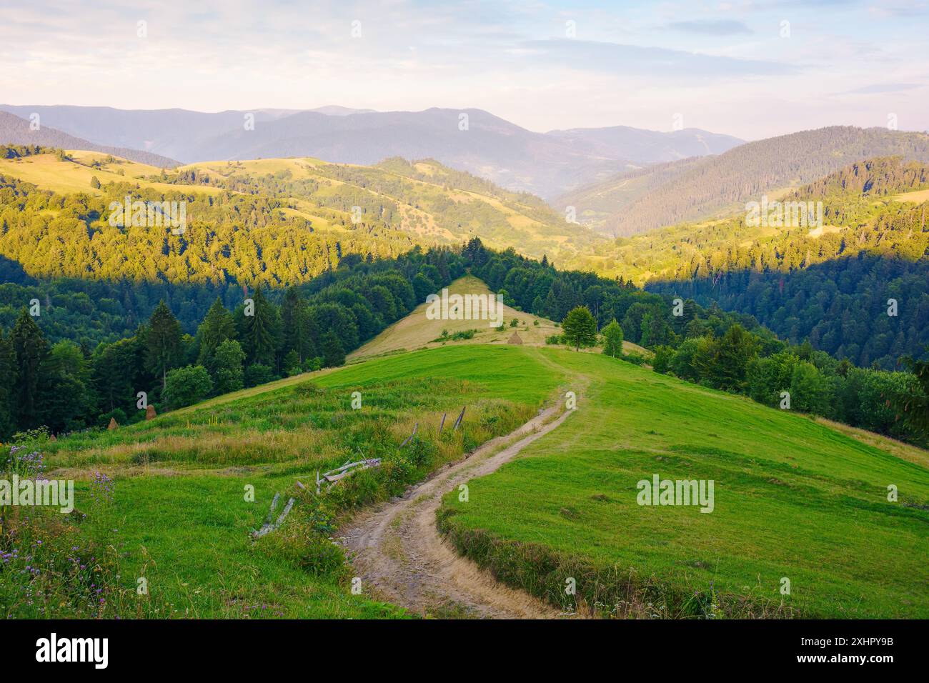 trail path through rural pastures on the hill. carpathian mountain ...