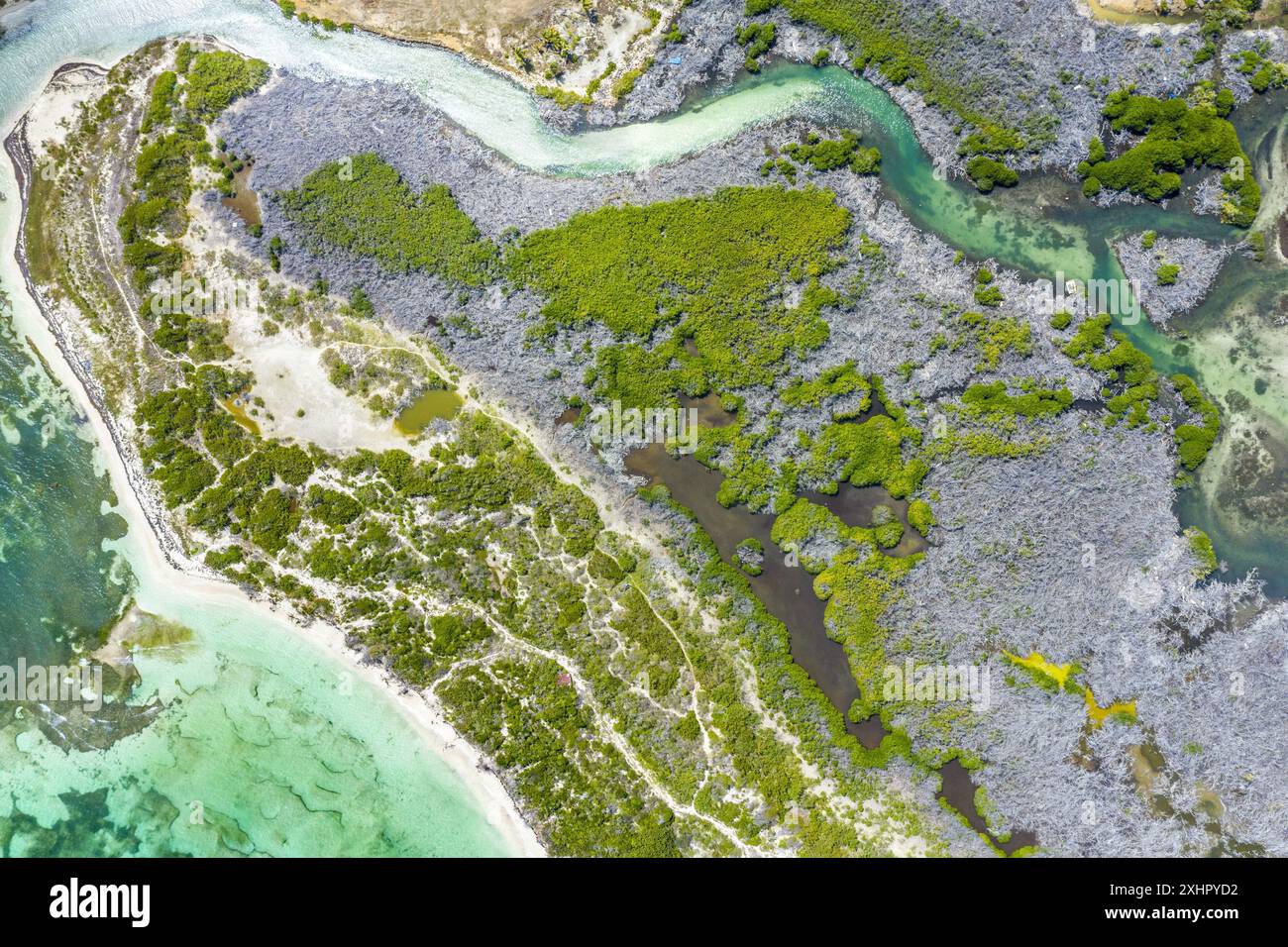 France, Lesser Antilles, French West Indies, Saint-Martin, Baie de l ...