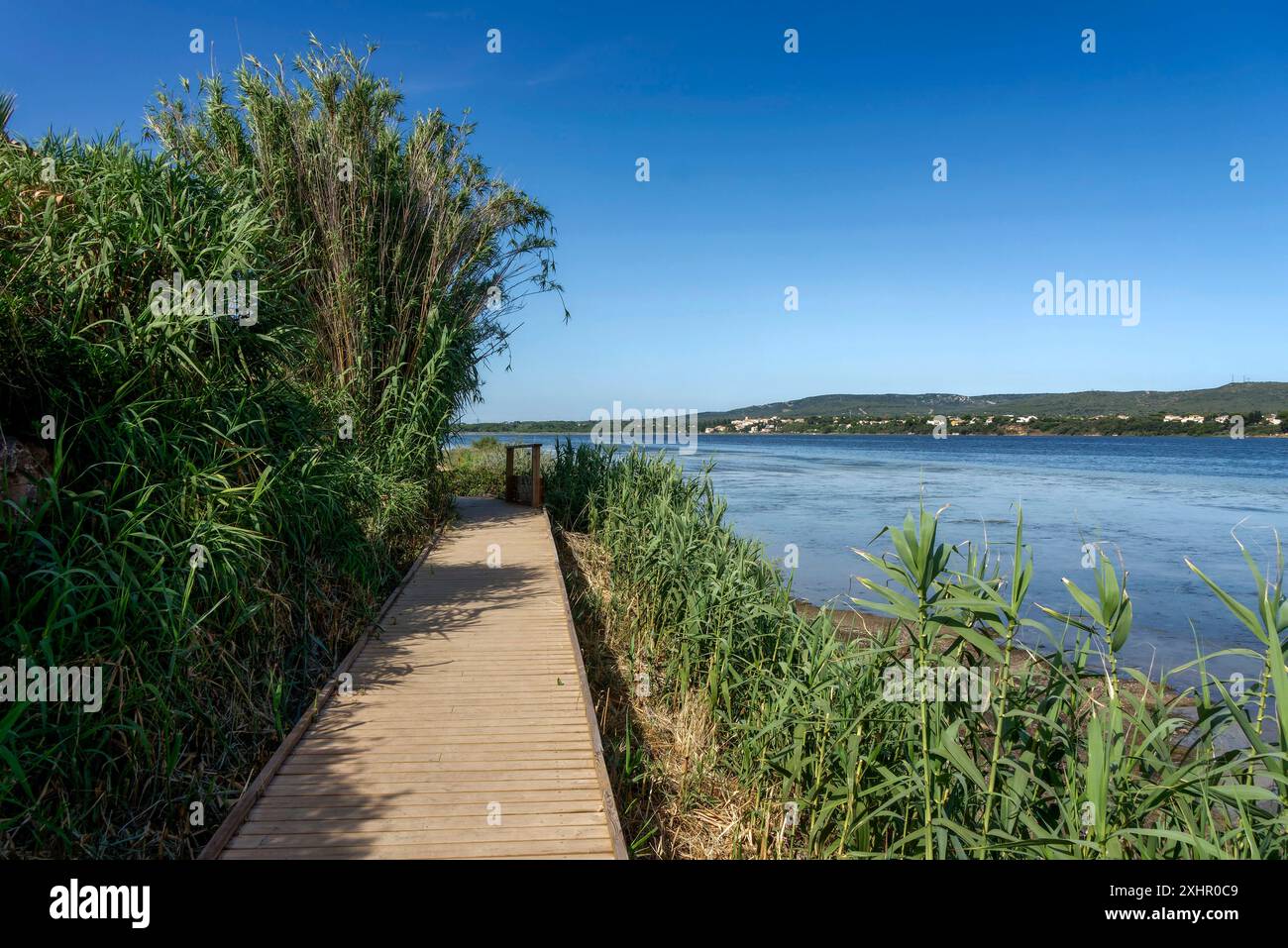 France, Herault, Bouzigues, Thau lagoon, coastal path on stilts lined ...