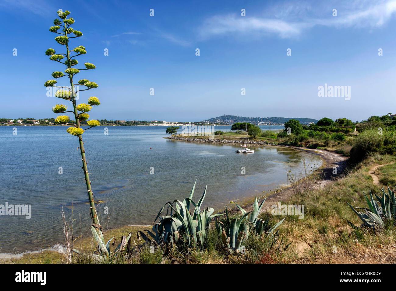 France, Herault, Bouzigues, Lagoon of Thau, coastal path along the ...
