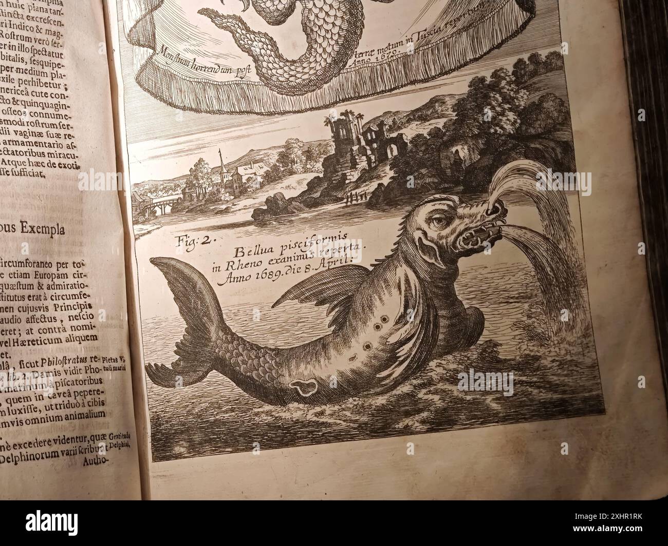 Medieval creature print hi-res stock photography and images - Alamy