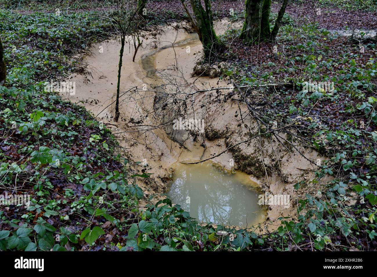 France, Doubs, Allenjoie, resurgence, water, mud Stock Photo - Alamy