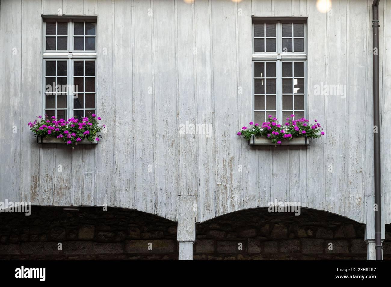 Two windows with purple flowers in them. The windows are on a building ...
