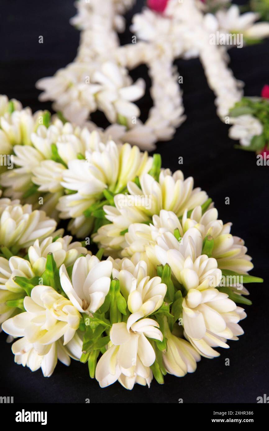 French Polynesia, Tahiti island, Papeete, crown of tiare flowers placed ...