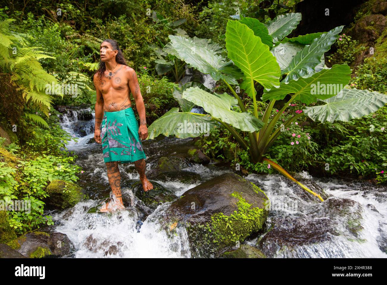 French Polynesia, Tahiti island, Papenoo valley, Teuai Lenoir ...