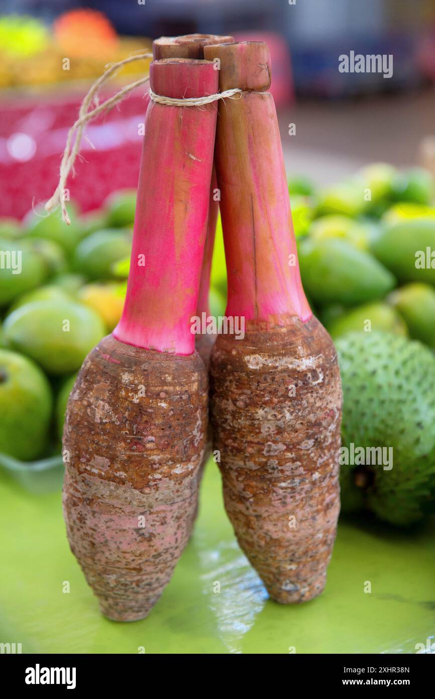 French Polynesia, Tahiti island, Papeete, pink taro, the Polynesian ...