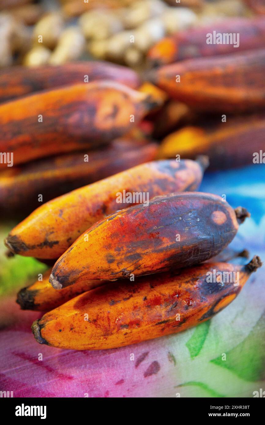 French Polynesia, Tahiti island, Papeete, plantain bananas on a stall ...