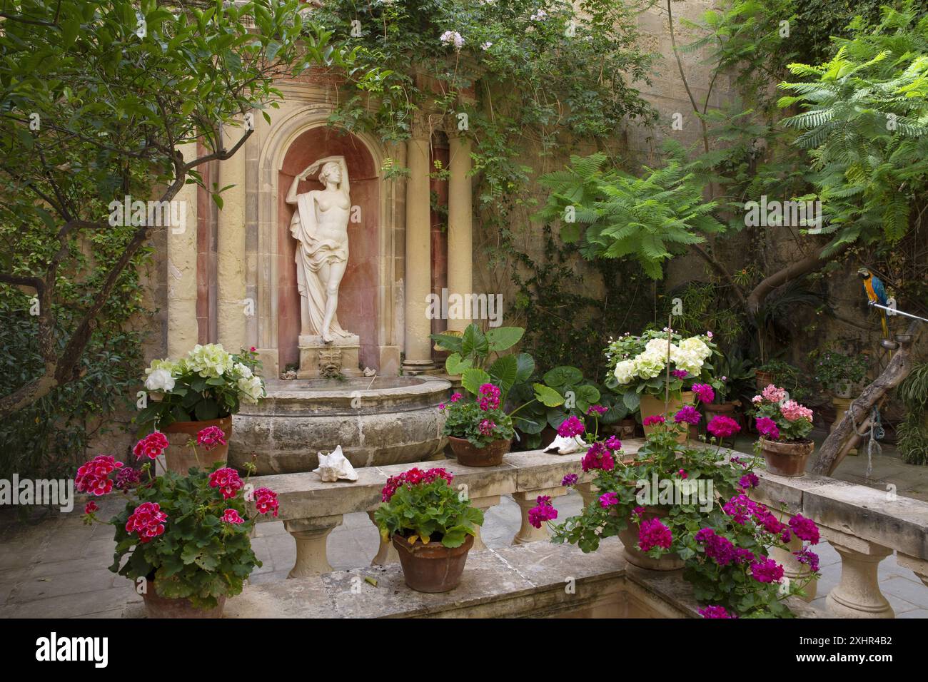 Malta, Valletta, garden of Casa Rocca Piccola, ancestral home of the ...