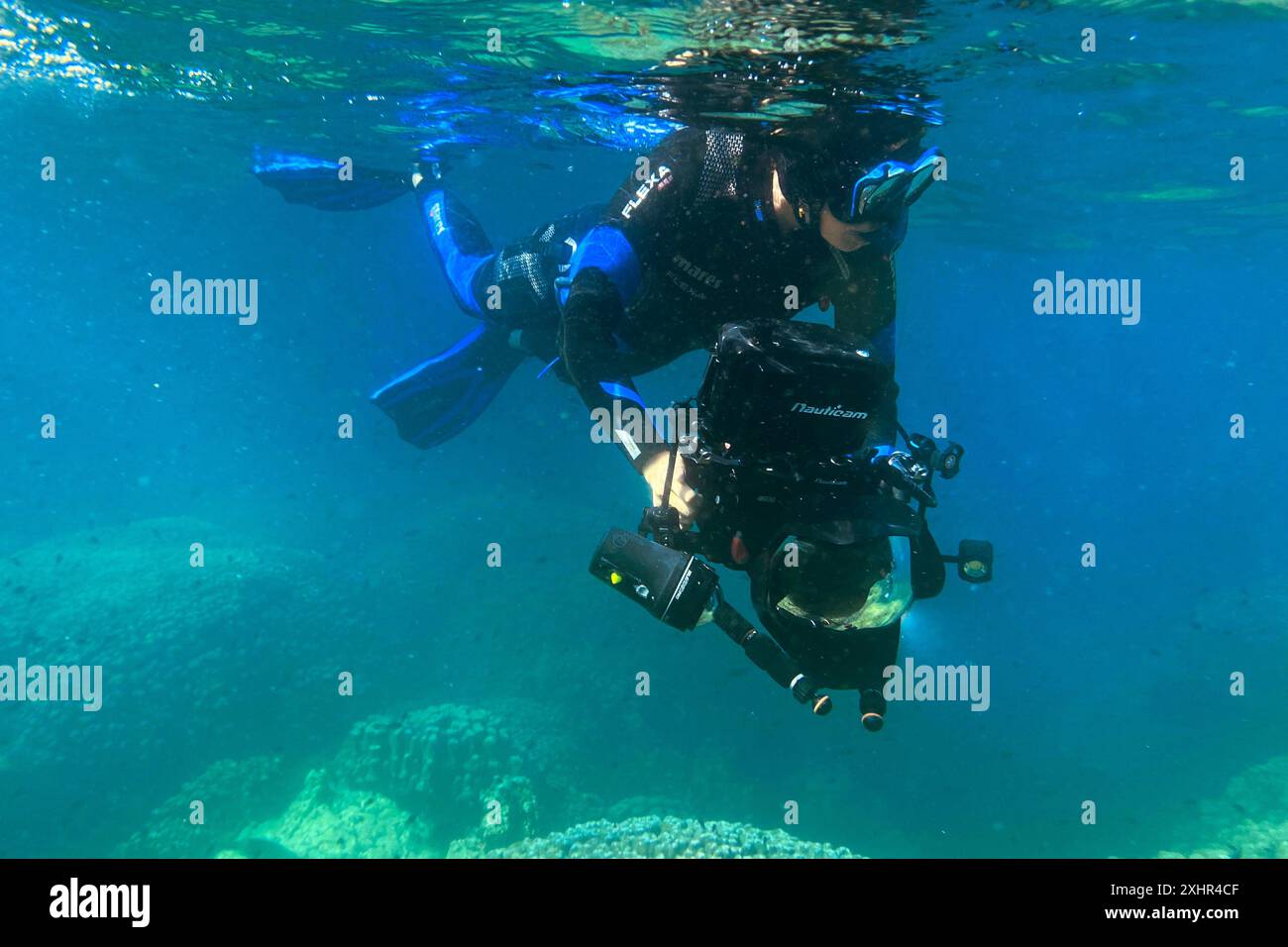 Sultanate of Oman, Governorate of Muscat, Nature Reserve of the ...