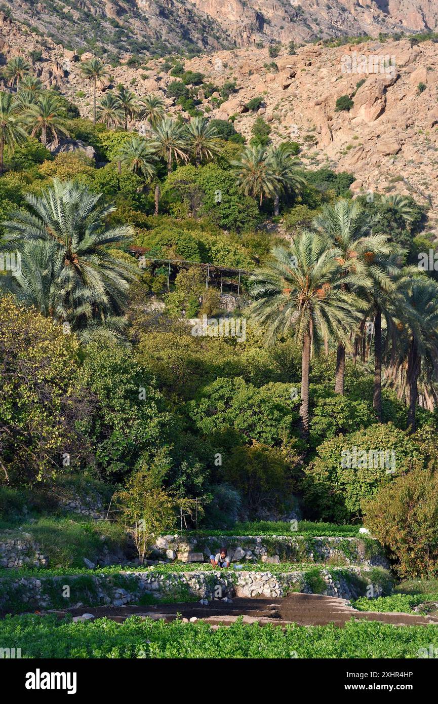 Sultanate of Oman, South Batinah Governorate, Western Hajar, Wadi ...