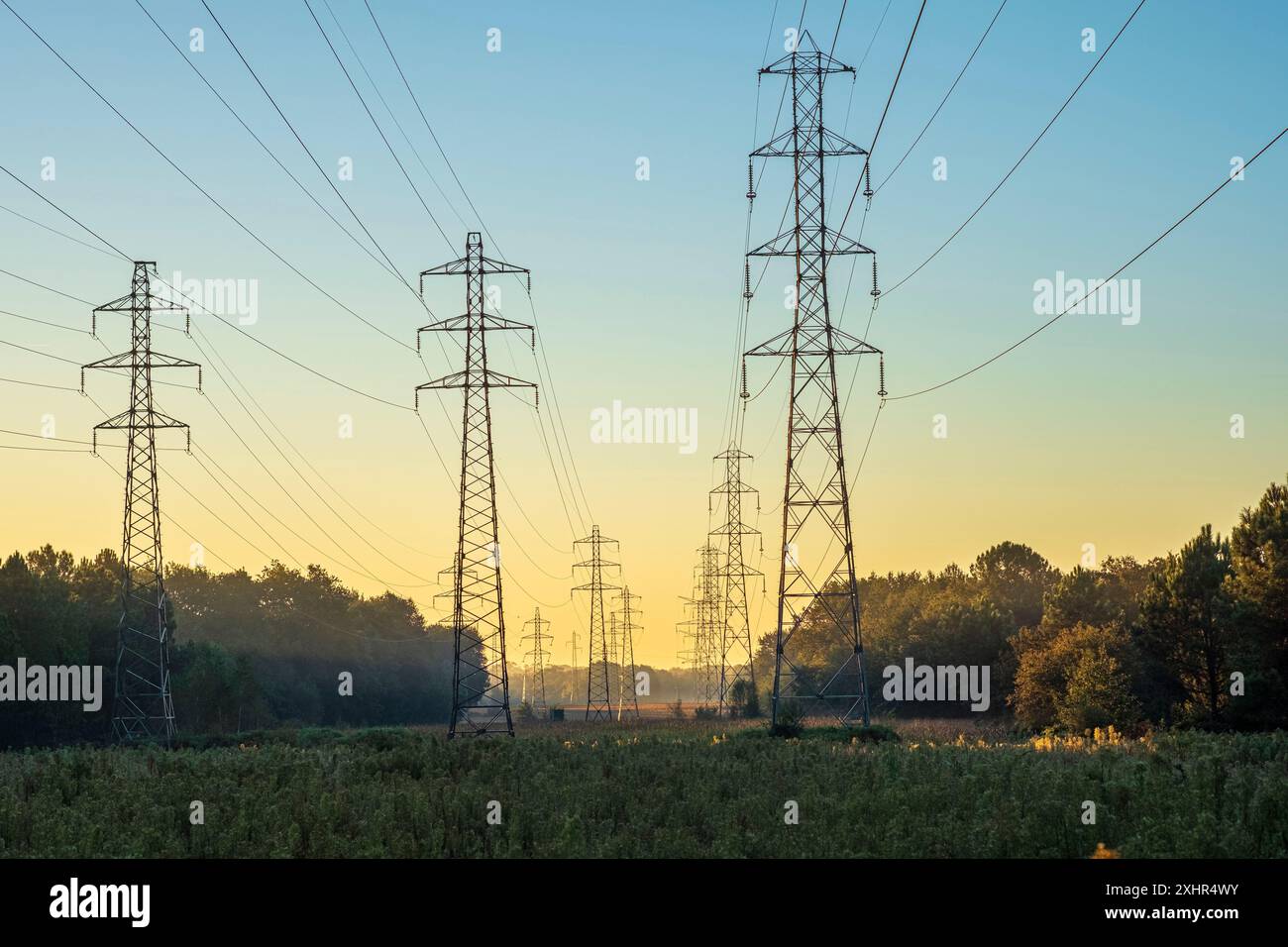 Benquet hi-res stock photography and images - Alamy
