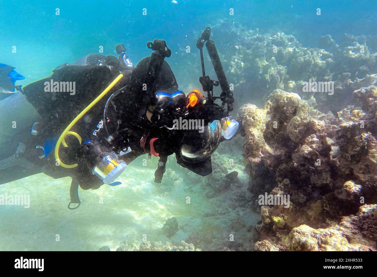 Sultanate of Oman, Governorate of Muscat, Nature Reserve of the ...