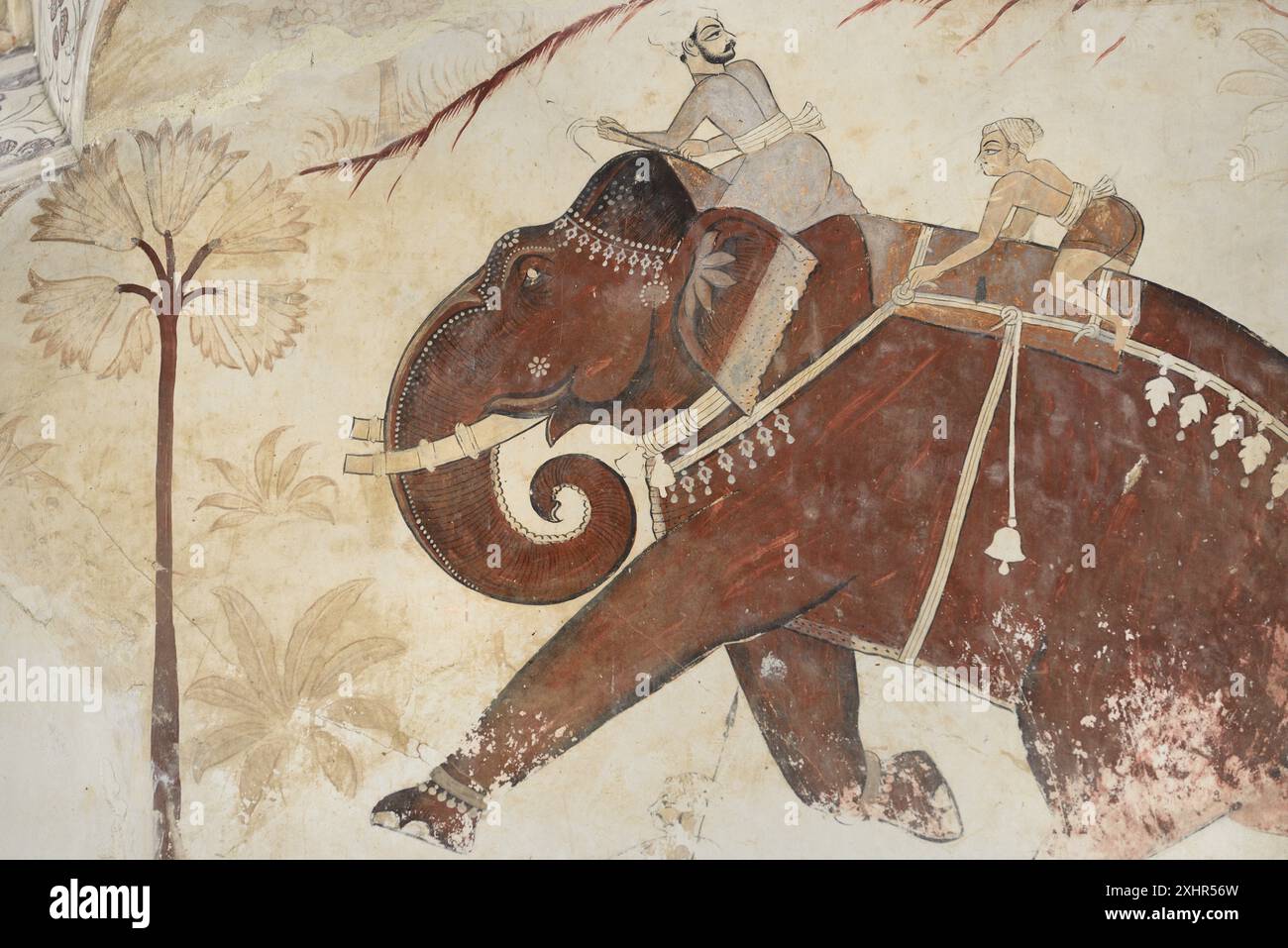 India, Rajasthan, Nagaur fort Stock Photo - Alamy