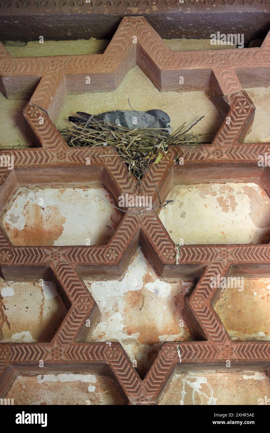 India, Uttar Pradesh, Unesco World Heritage Site, Fatehpur Sikri ...