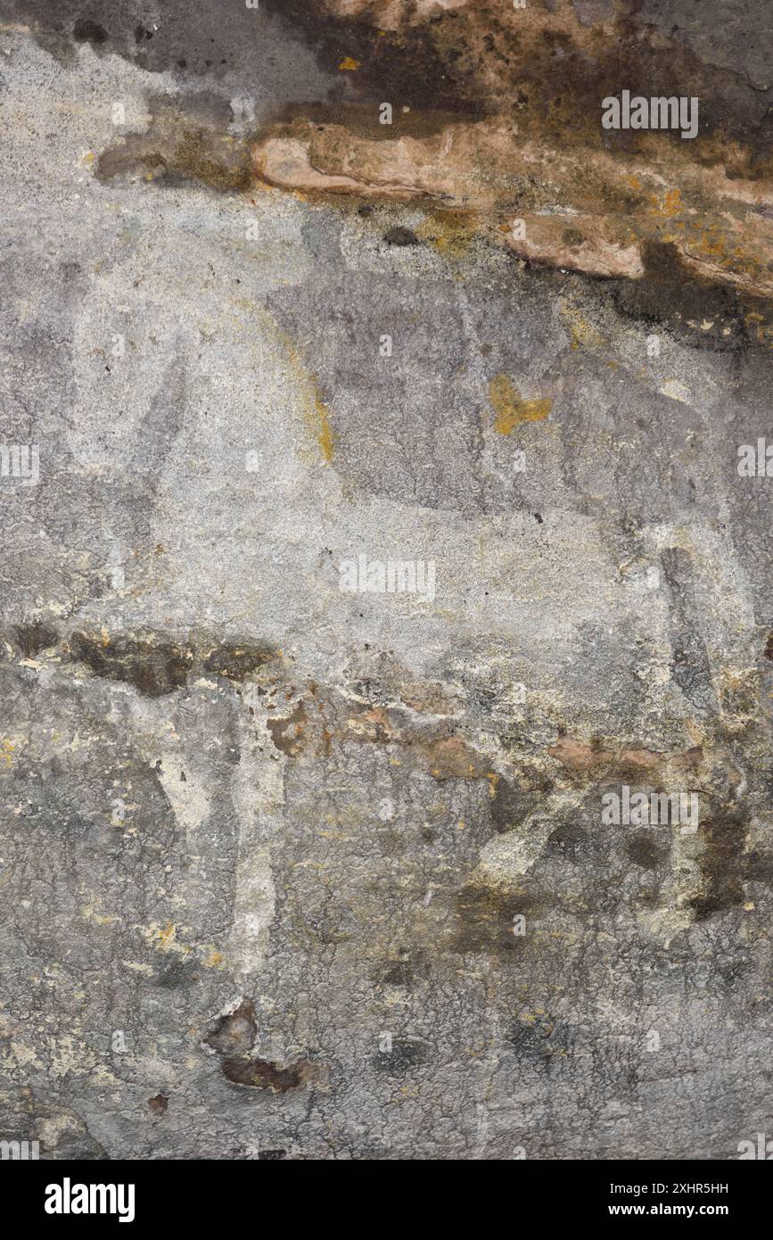 India, Madhya Pradesh, World Heritage Site, Bhimbetka rock shelters The ...