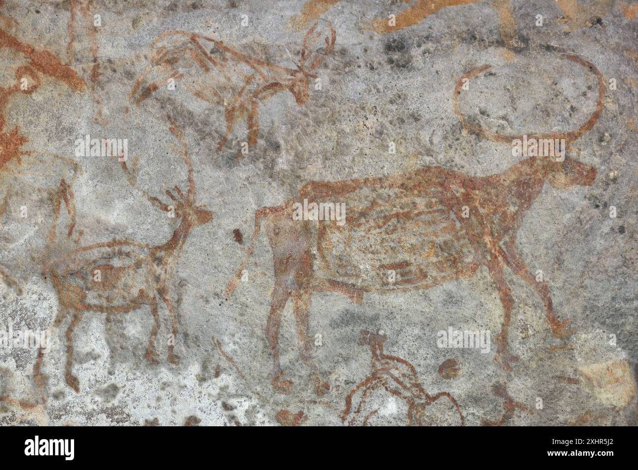 India, Madhya Pradesh, World Heritage Site, Bhimbetka rock shelters The ...