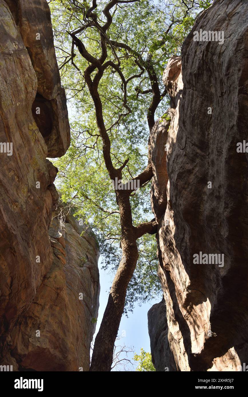 Bhimbetka rock shelters pradesh india hi-res stock photography and ...