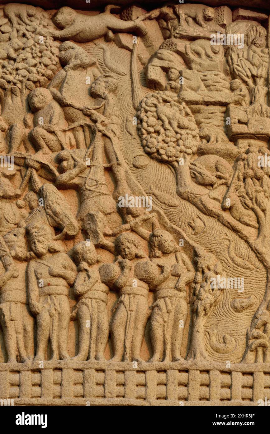 India, Madhya Pradesh, Unesco World Heritage Site, Sanchi, Mahakapi ...