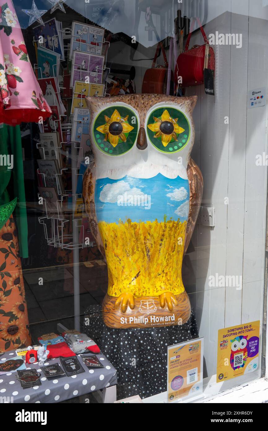 The Big Hoot Owl Sculpture Trail Chichester England a Wild in Art Event ...