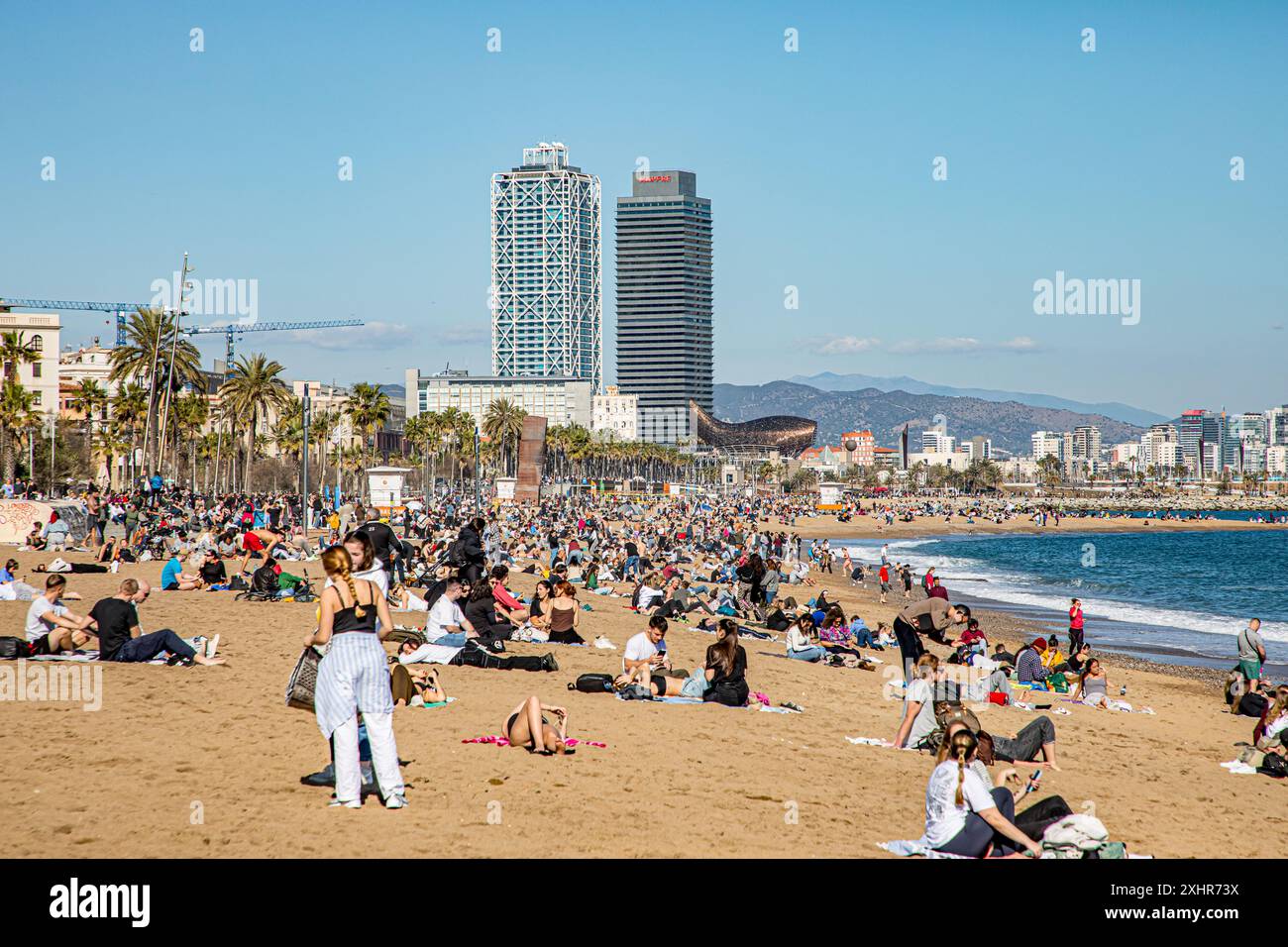 crowds of people filling the beach / sat on the barceloneta beach in ...