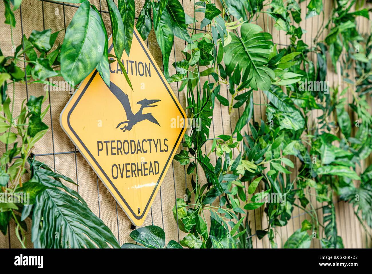 Yellow diamond shaped caution pterodactyls overhead sign / notice ...
