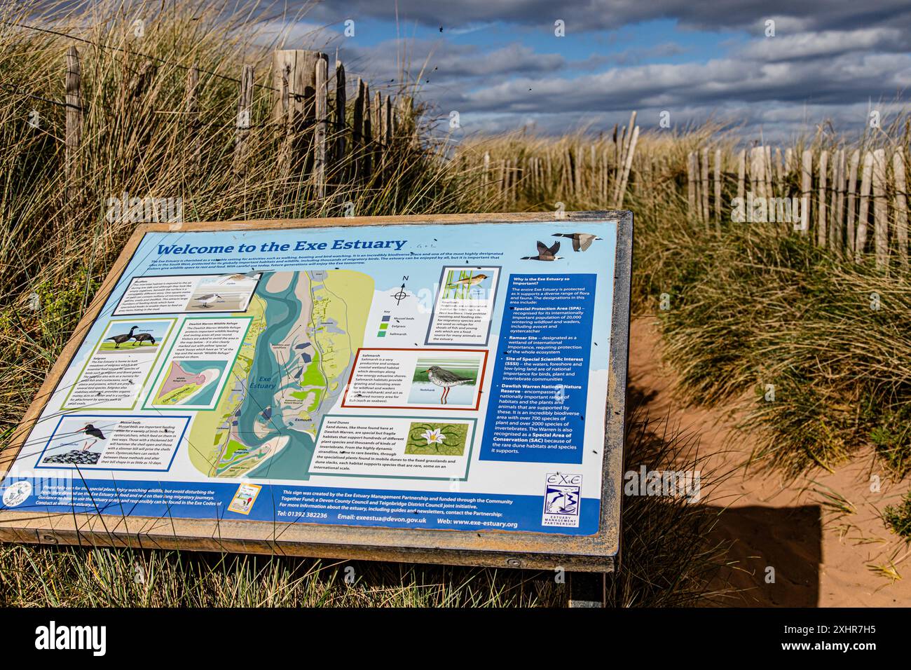 Dawlish Warren National Nature Reserve, Exe Estuary, Devon, England, UK ...