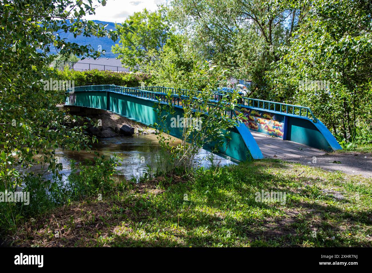 Mural of fish on the railing of pedestrian bridge at Lions Memorial ...