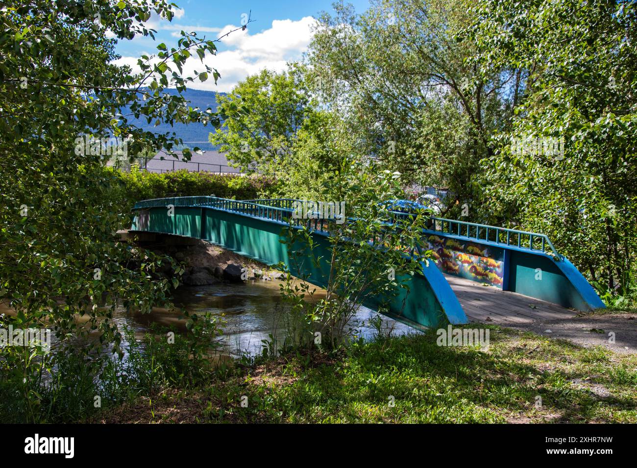 Mural of fish on the railing of pedestrian bridge at Lions Memorial ...