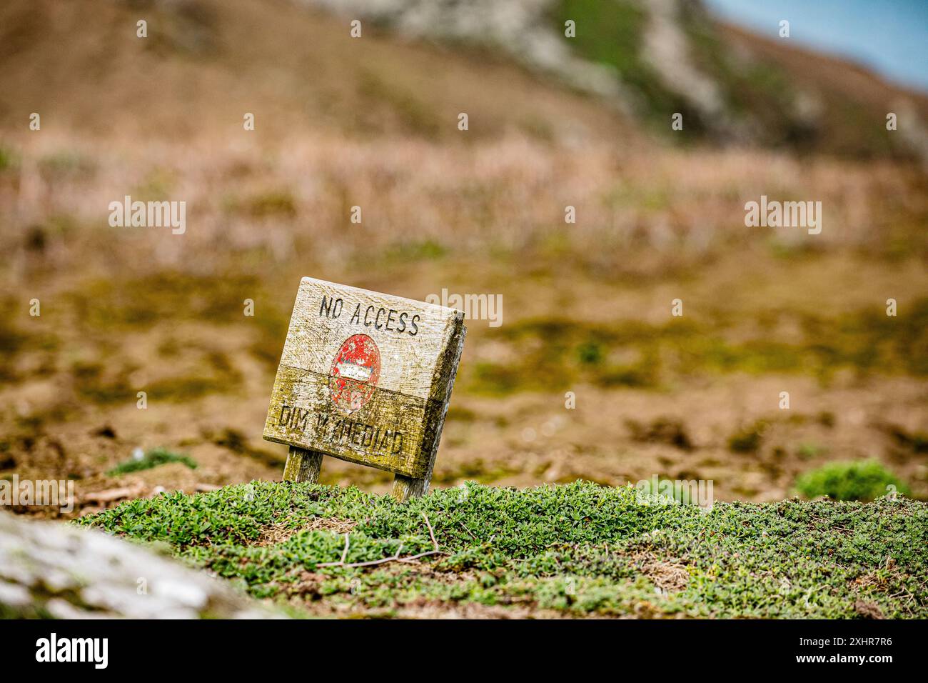 Dim mynediad sign hi-res stock photography and images - Alamy