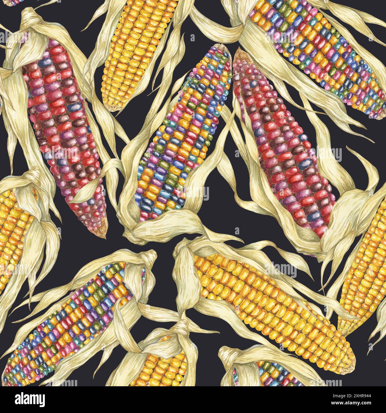 Indian heirloom and Yellow sweetcorn seamless pattern, cobs textile ...