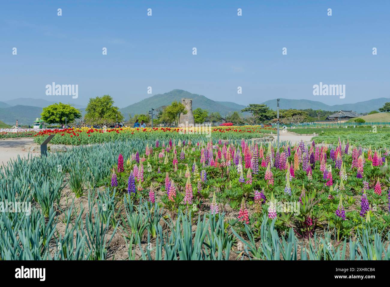 The garden of astronomy hi-res stock photography and images - Alamy