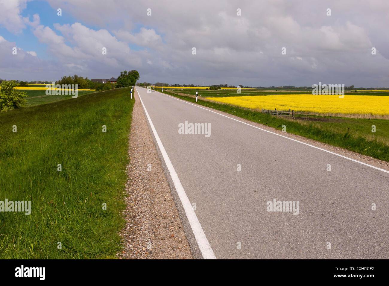 Country road without cars Stock Photo - Alamy